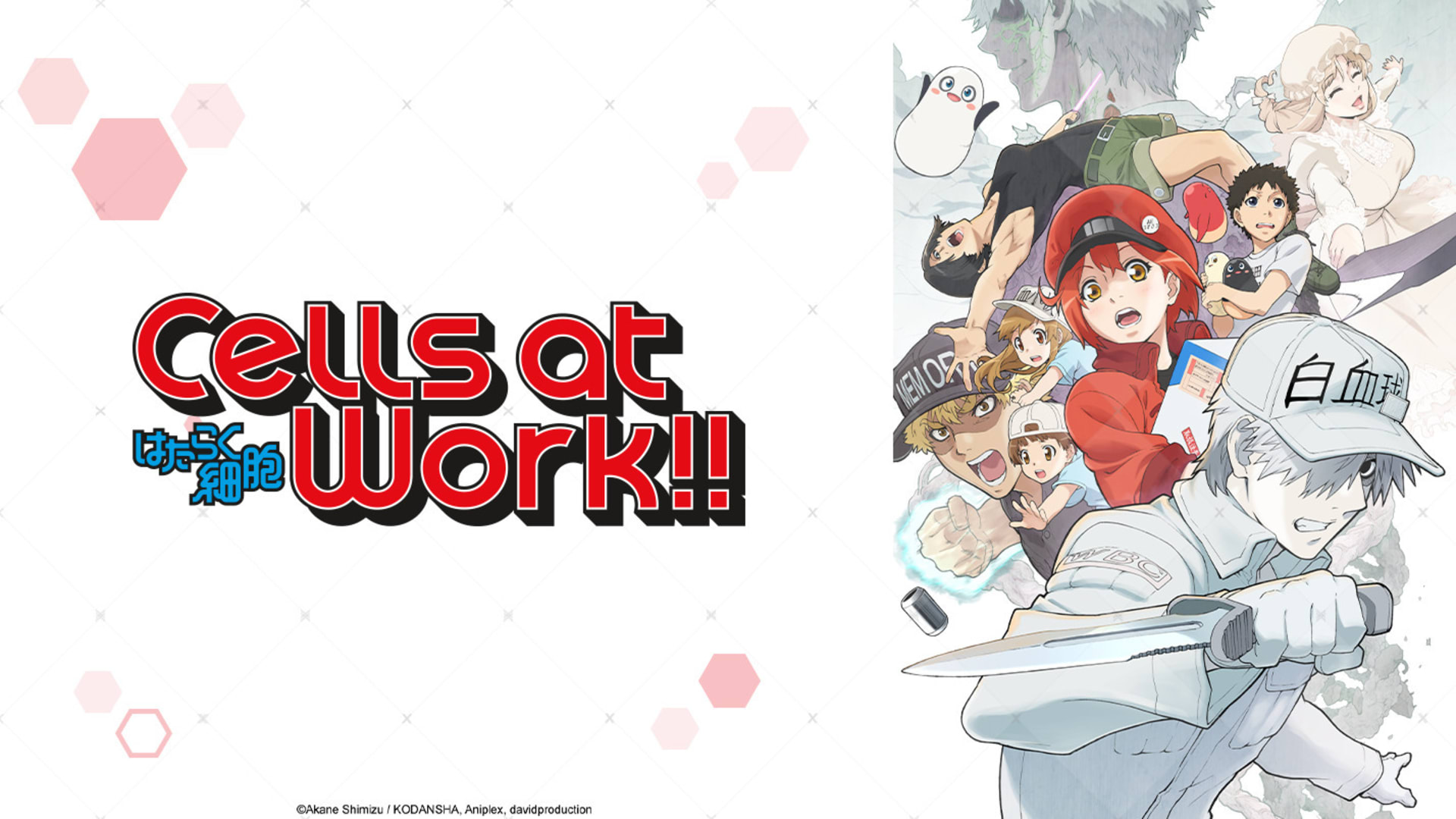 Cells at Work!! – Review – Xenodude Scribbles